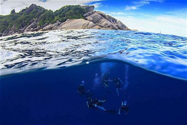 Learn Scuba Diving in Koh Tao | Black Turtle Dive