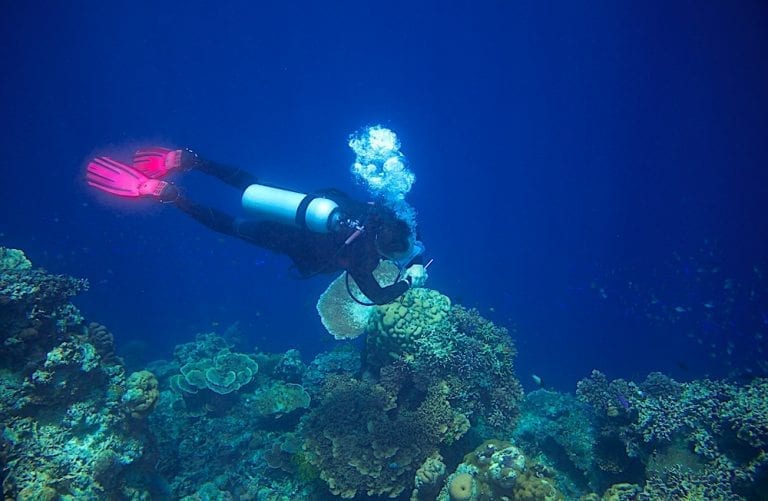 PADI Deep Diver Specialty Course Koh Tao