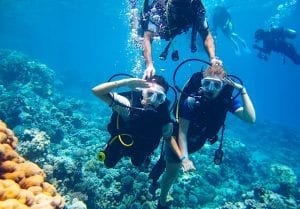 PADI Discover Scuba Diving Koh Tao | Black Turtle Dive