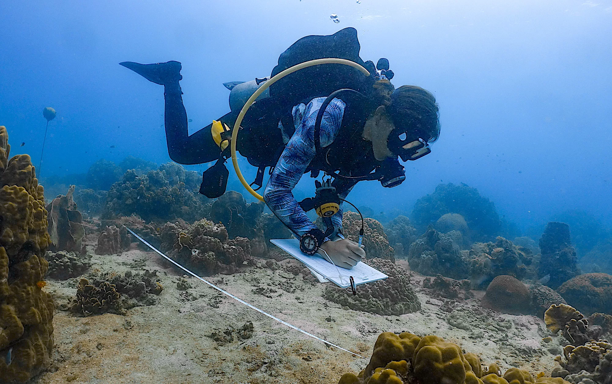 Ecological Monitoring Course - Marine Conservation Thailand